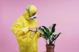 90 Plant Words for Slogans: Growing Your Creativity