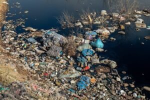 115 Slogans on Water Pollution: Words to Protect Our Blue Planet